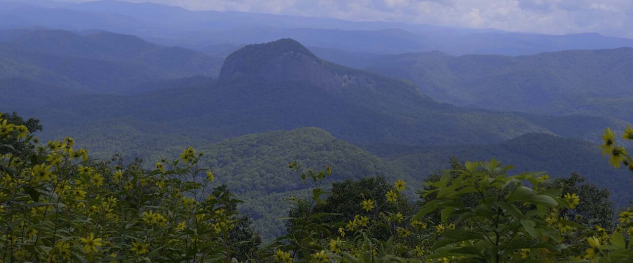 Nature's Wisdom Thru Native Eyes-Oral Histories - Save Culture